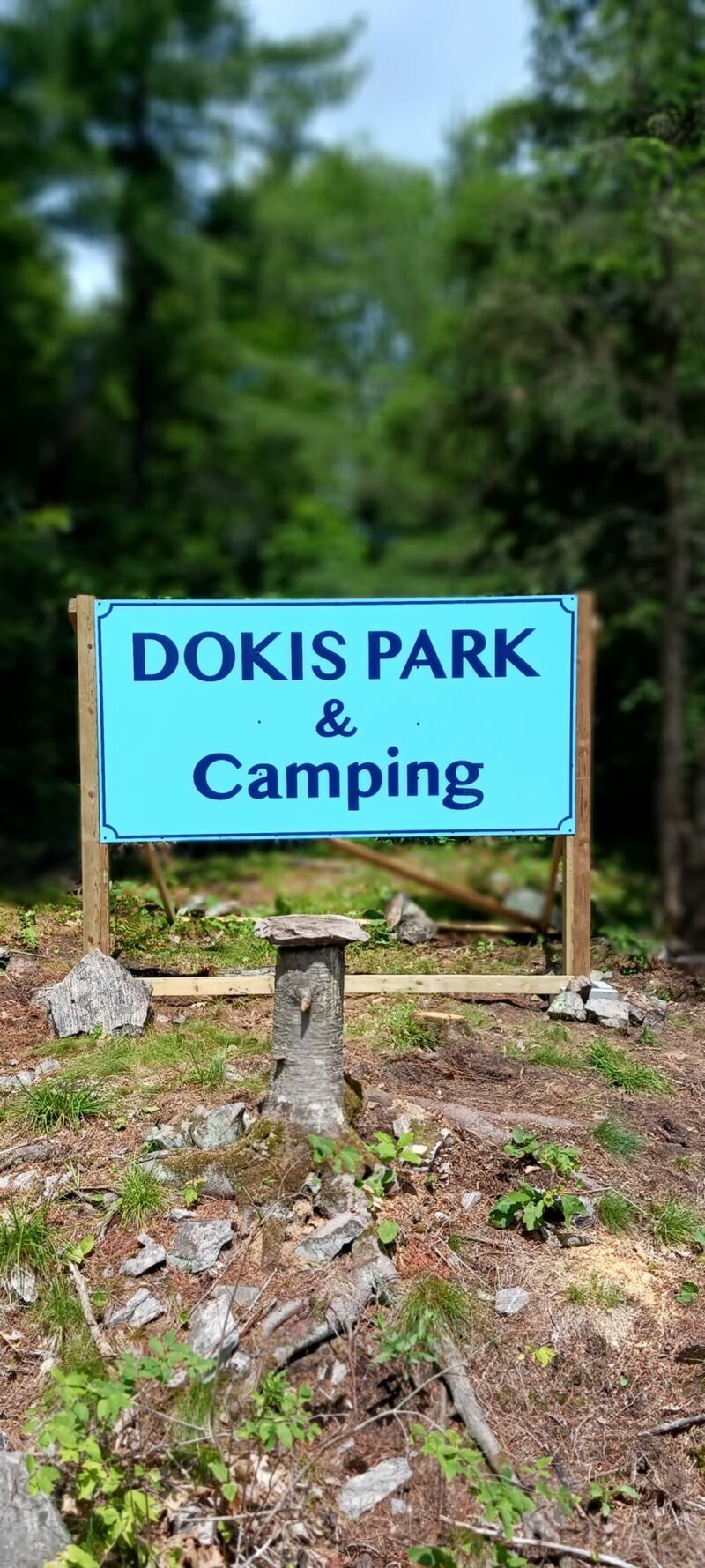 Forestry and Trail Planning - Dokis First Nation
