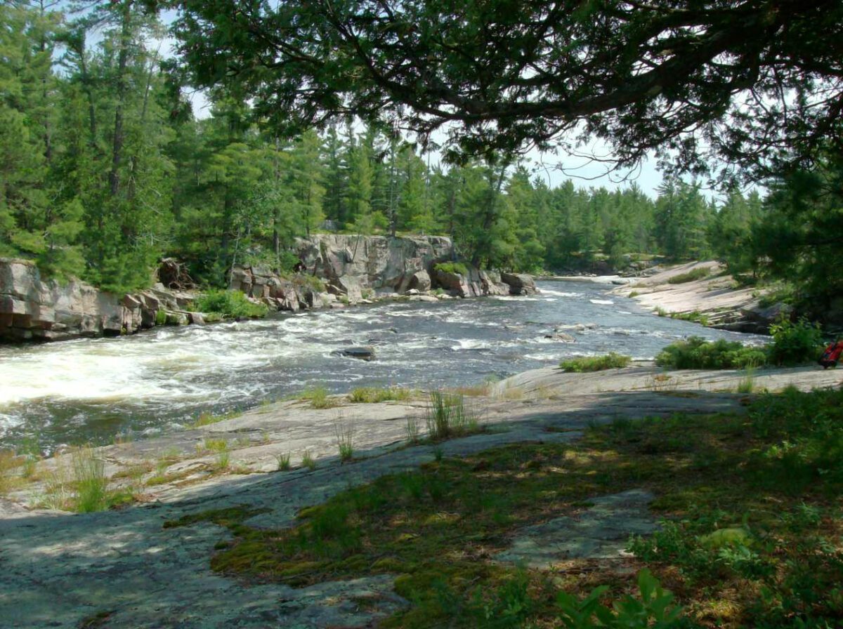 Forestry and Trail Planning - Dokis First Nation